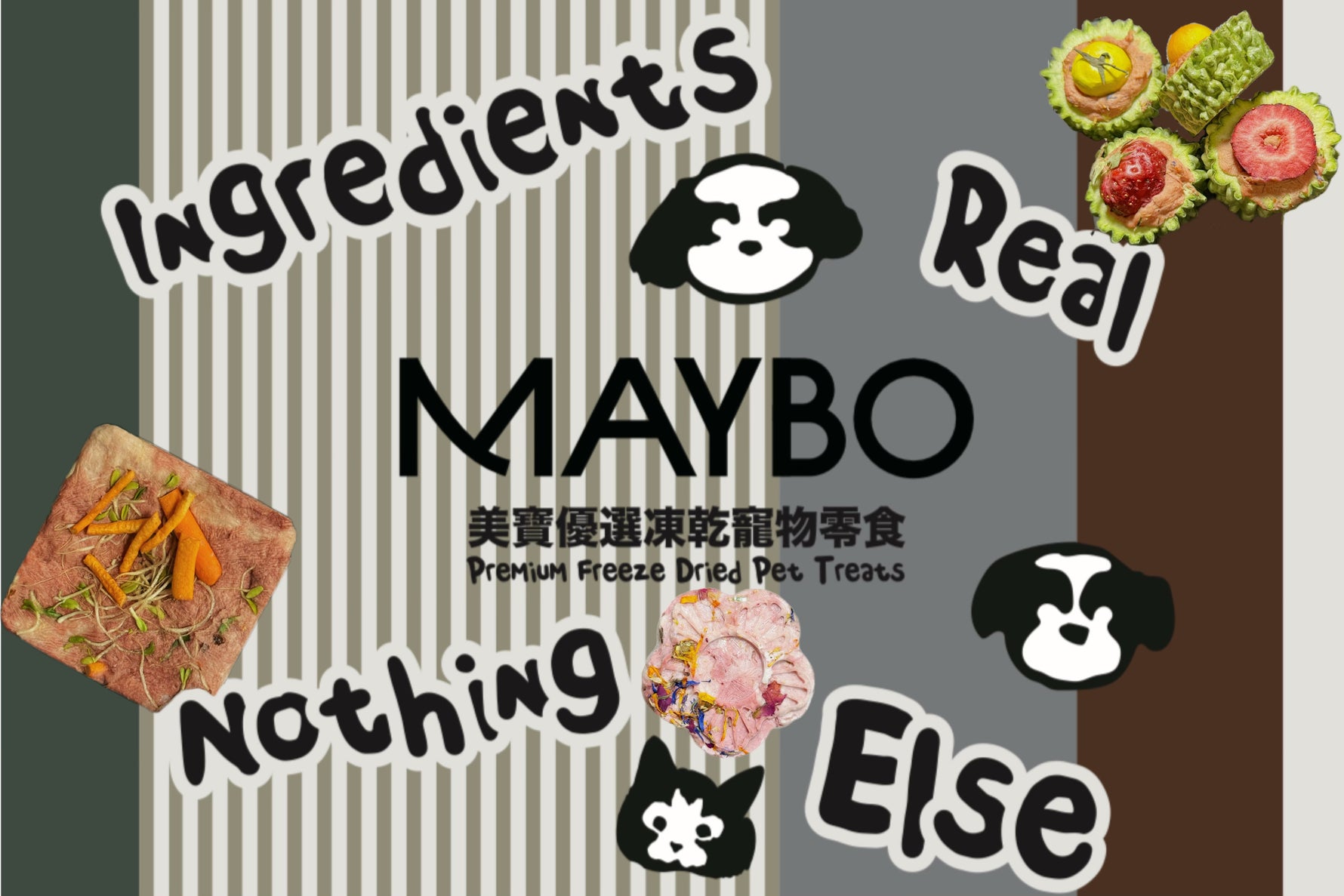 MAYBO MAGIC BOX NEW SERIES